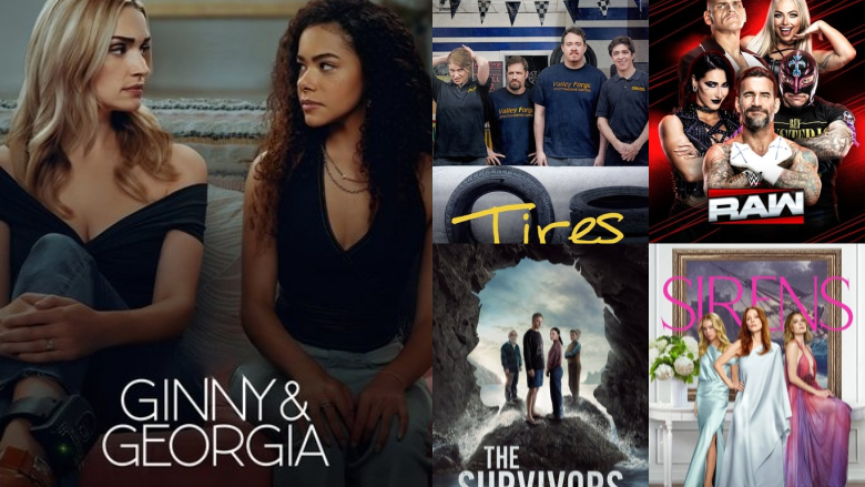 The Top 10 Shows on Netflix in the USA Today